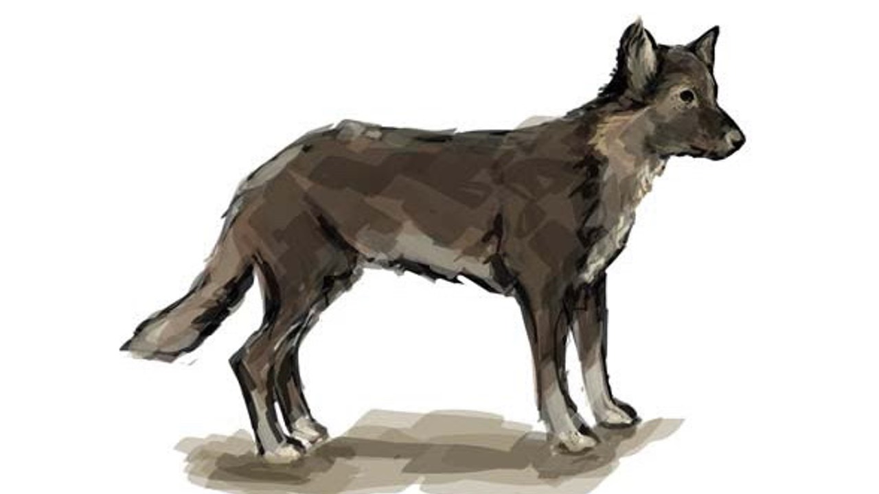 Resources | Institute For Classical Languages